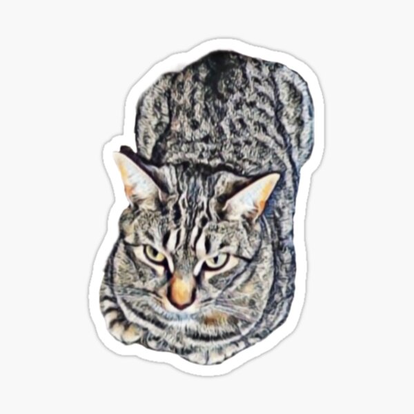 "Loaf Zuri" Sticker for Sale by SaltySquirrels | Redbubble