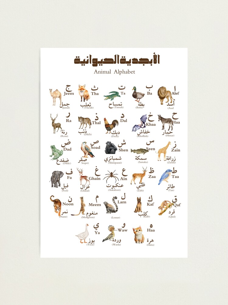 Funny Animals English Arabic