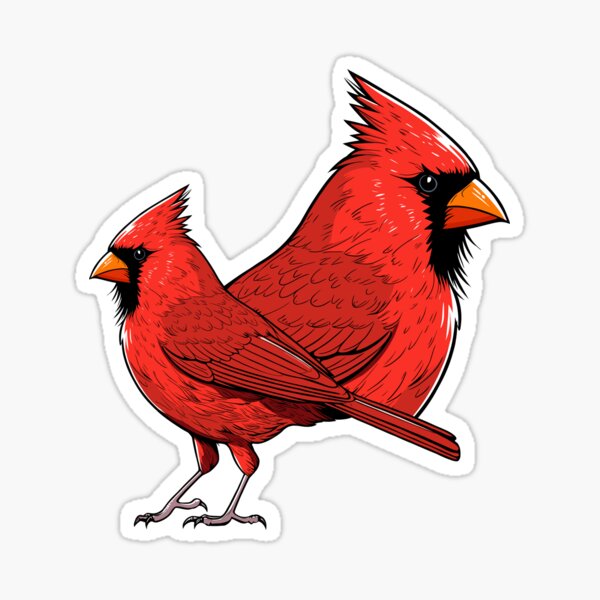 "Cardinal Illustration" Sticker for Sale by CortexCreations | Redbubble