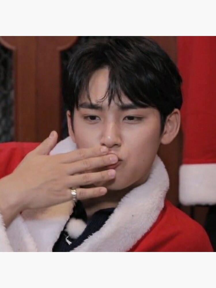 "Mingyu, Kim Mingyu, Svt, Gose, 17, Carat, Korean, Kpop, Meme, Memegyu ...
