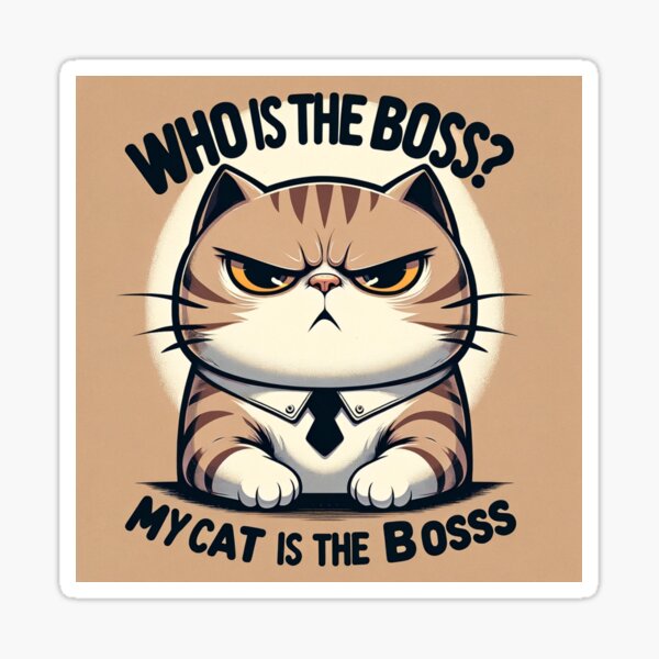 "Who is the boss, cat, cats, love cats, cat boss, chef, cat chef ...