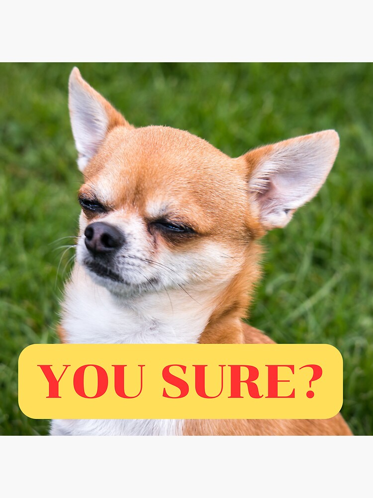 "YOU SURE? DOG MEME" Sticker for Sale by lukked | Redbubble