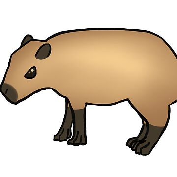 "Angry Baby Capybara" Sticker for Sale by mythmutt | Redbubble