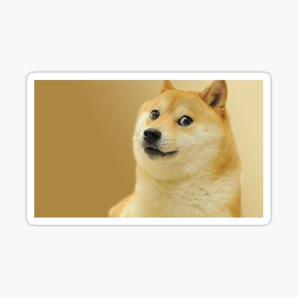 "Doge" Sticker for Sale by DogeMeme21 | Redbubble