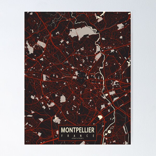 "Montpellier City Map of France - Vector" Poster for Sale by deMAP ...