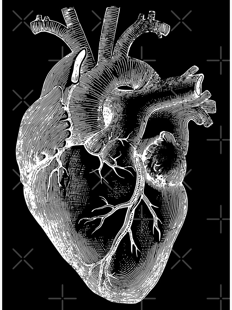 Lámina fotográfica «Grabado invertido del corazón humano» de ...