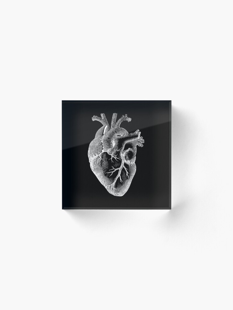 "Inverted Human Heart Etching" Acrylic Block for Sale by industridoll ...