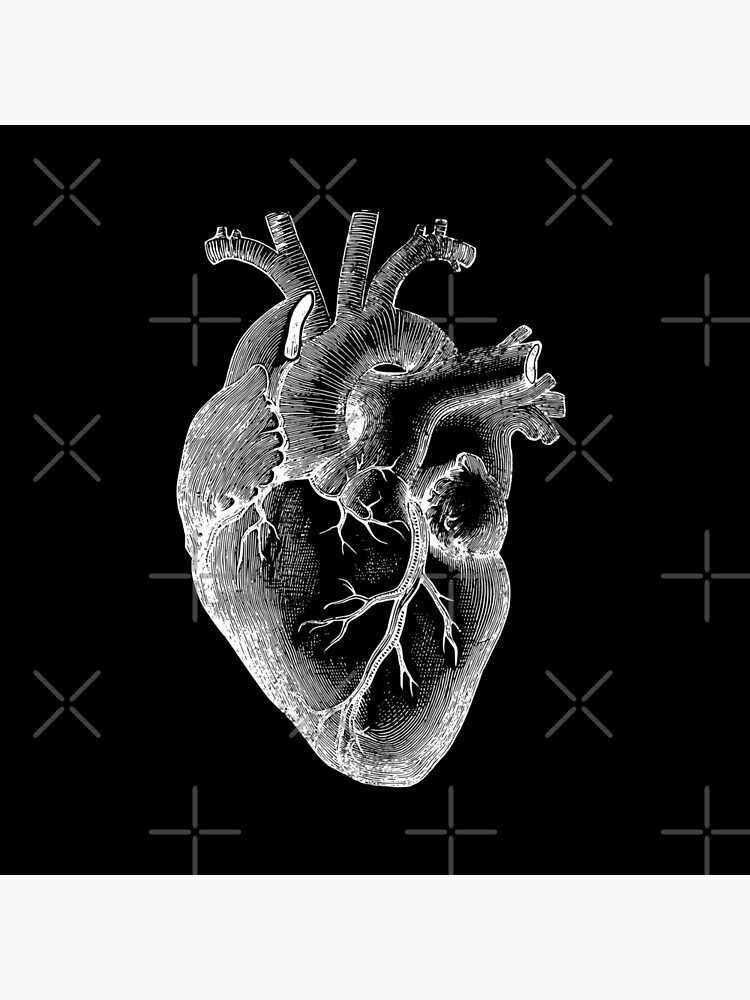 "Inverted Human Heart Etching" Acrylic Block for Sale by industridoll ...