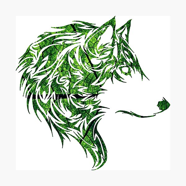"Green Wolf Design" Photographic Print for Sale by StylishTayla | Redbubble