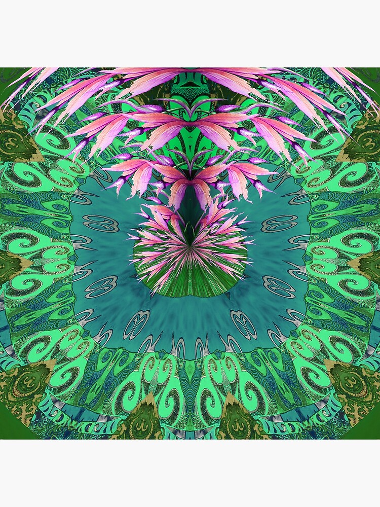 Powerful Feminine Healing Mandala Poster For Sale By Carlitapeartree