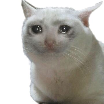 "Sad Cat" Sticker for Sale by Meme Stickers | Redbubble