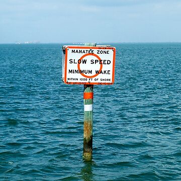 "Key Biscayne Florida USA Bill Baggs Cape Florida State Park Manatee ...