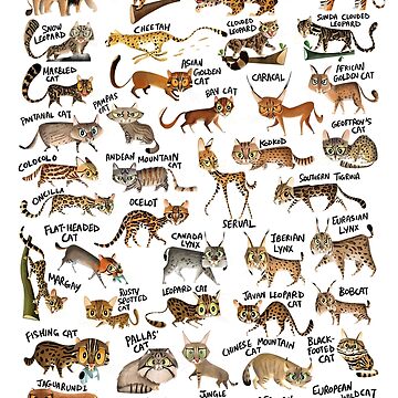 "Wild Cats of the World" Essential T-Shirt for Sale by rohanchak ...