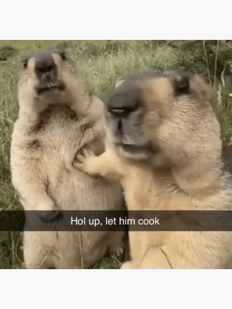 "Let Him Cook Meme" Sticker for Sale by arisparklefarts | Redbubble