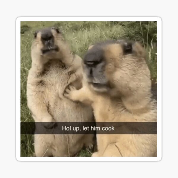 "Let Him Cook Meme" Sticker for Sale by arisparklefarts | Redbubble