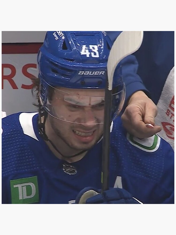 "Quinn Hughes Meme" Sticker for Sale by NaomiesCorner | Redbubble