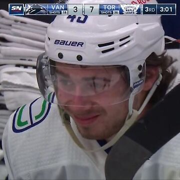 "Quinn Hughes Meme" Sticker for Sale by NaomiesCorner | Redbubble