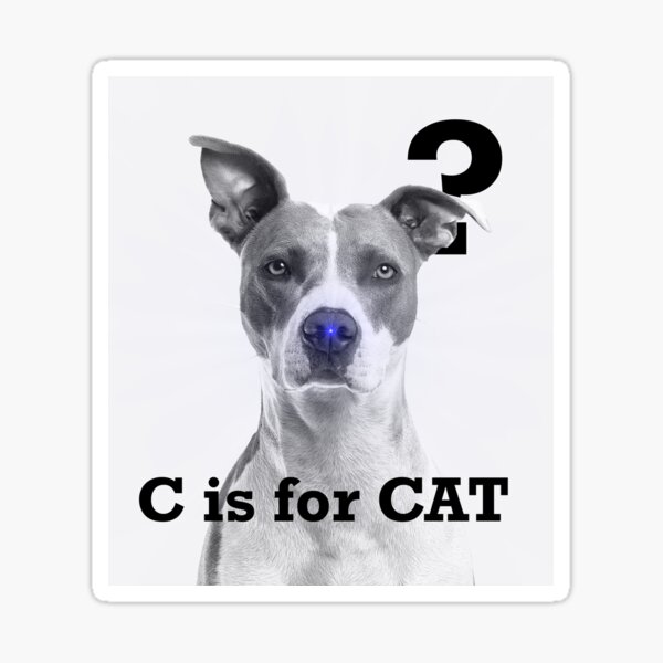 "confused dog" Sticker for Sale by slashckxs | Redbubble