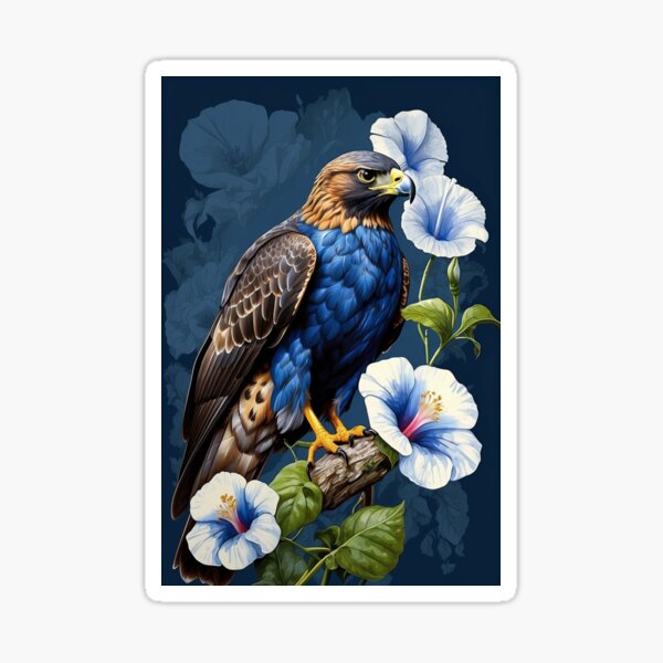 "Birth Month Bird and Flower - September Hawk & Morning Glory" Sticker ...