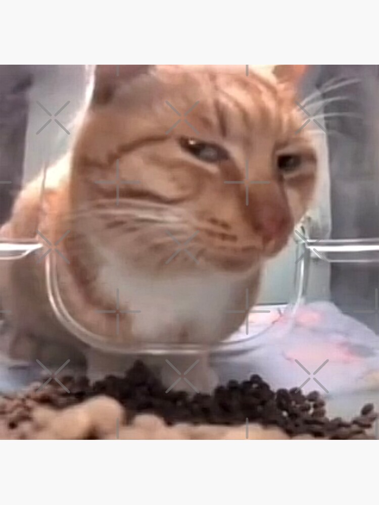 "Mr Fresh" Sticker for Sale by LiamJC | Redbubble