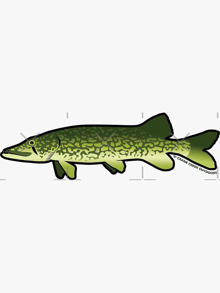 "Chain Pickerel, Green Pattern" Sticker for Sale by CraneCreek | Redbubble