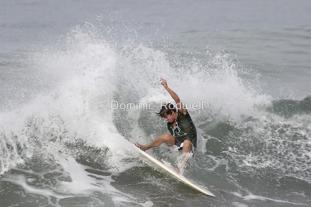 "Alex Knost" by Dominic Rodwell | Redbubble