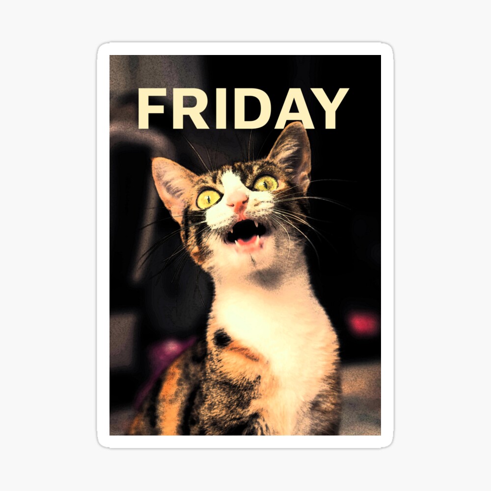 Tgif Cat Pictures