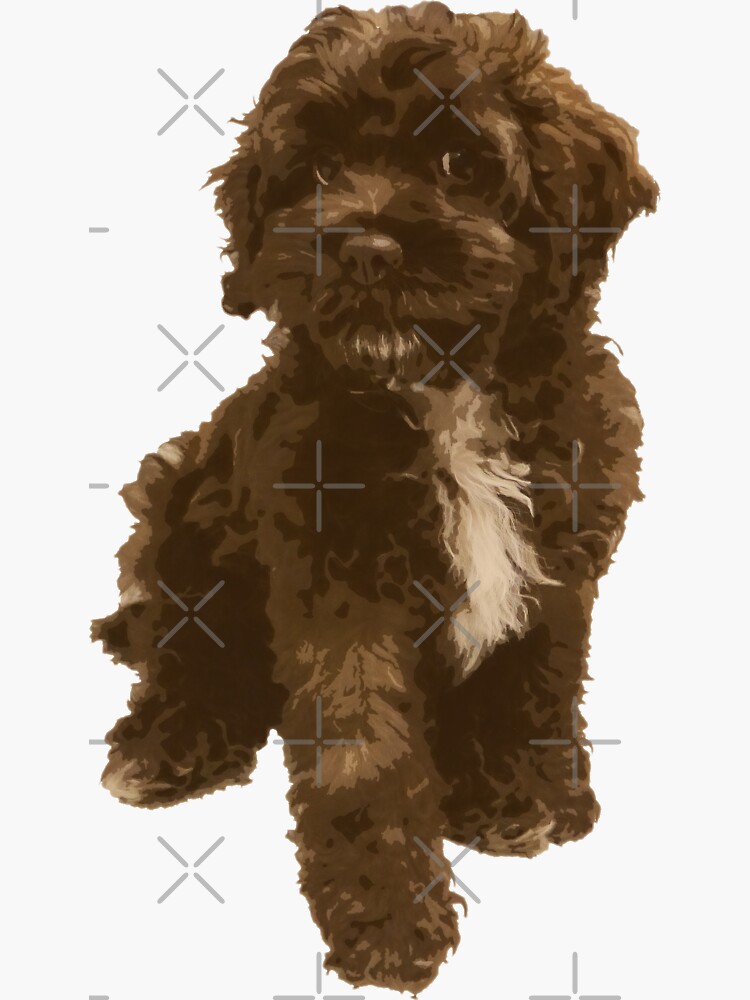 "Brown Cockapoo Puppy" Sticker for Sale by LeatherDragon | Redbubble