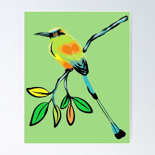 "Beautiful Torogóz bird " Poster for Sale by paisajetropical | Redbubble