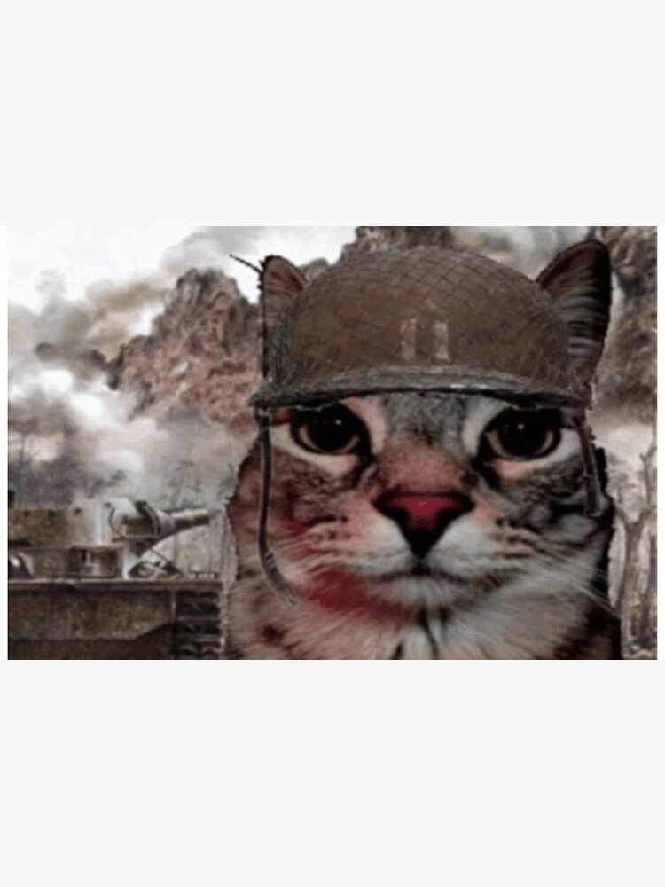 Computadora Starecat Sara Shafiq United Kingdom | Professional