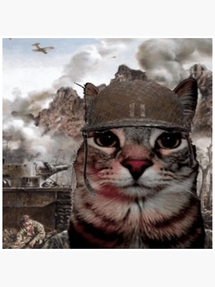 "War Cat - Thousand Yard Stare Meme" Art Print for Sale by Anil Kumar ...