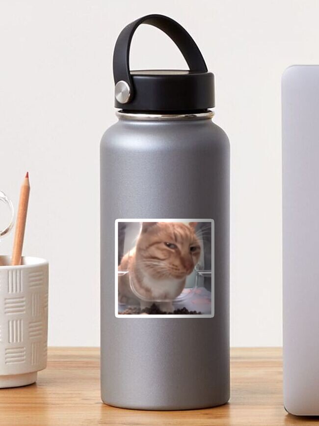 "Silly Side Eye Cat" Sticker for Sale by 44MORS | Redbubble