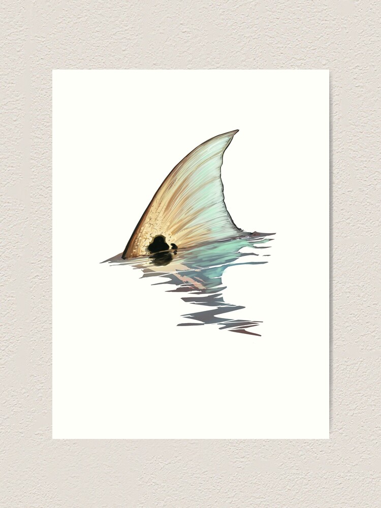 Redfish Tail Drawing