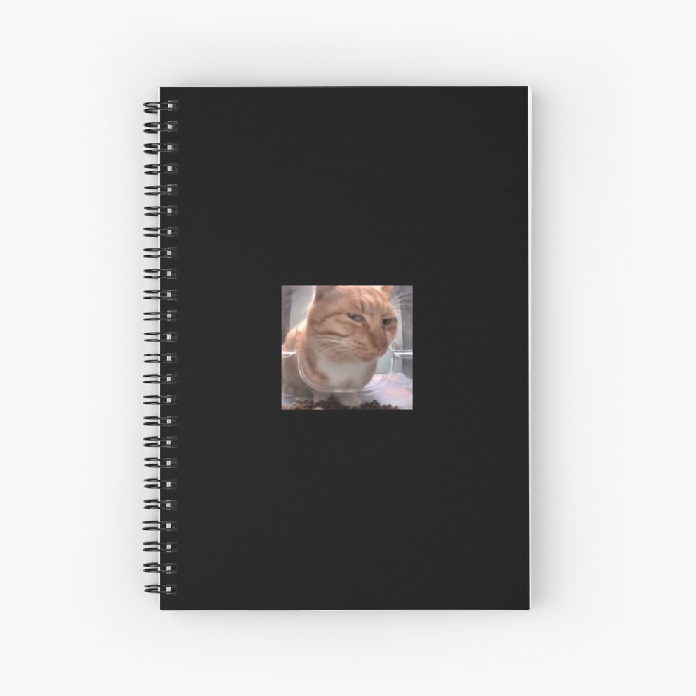 "Silly Side Eye Cat" Sticker for Sale by 44MORS | Redbubble