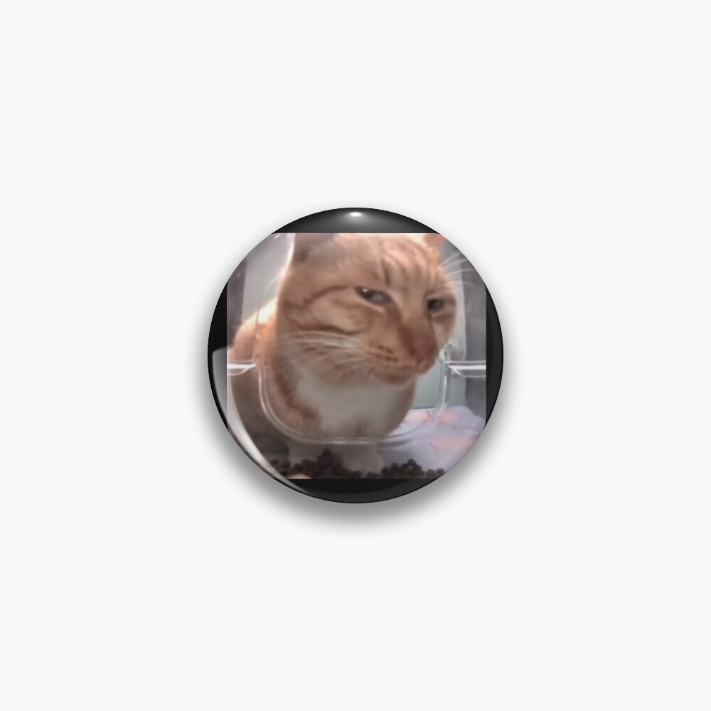 "Silly Side Eye Cat" Sticker for Sale by 44MORS | Redbubble
