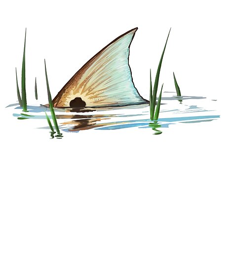 "Tailing Redfish in Grass | Redfish Tail" Poster by blueshore | Redbubble