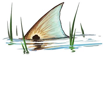 Redfish Tail Drawing