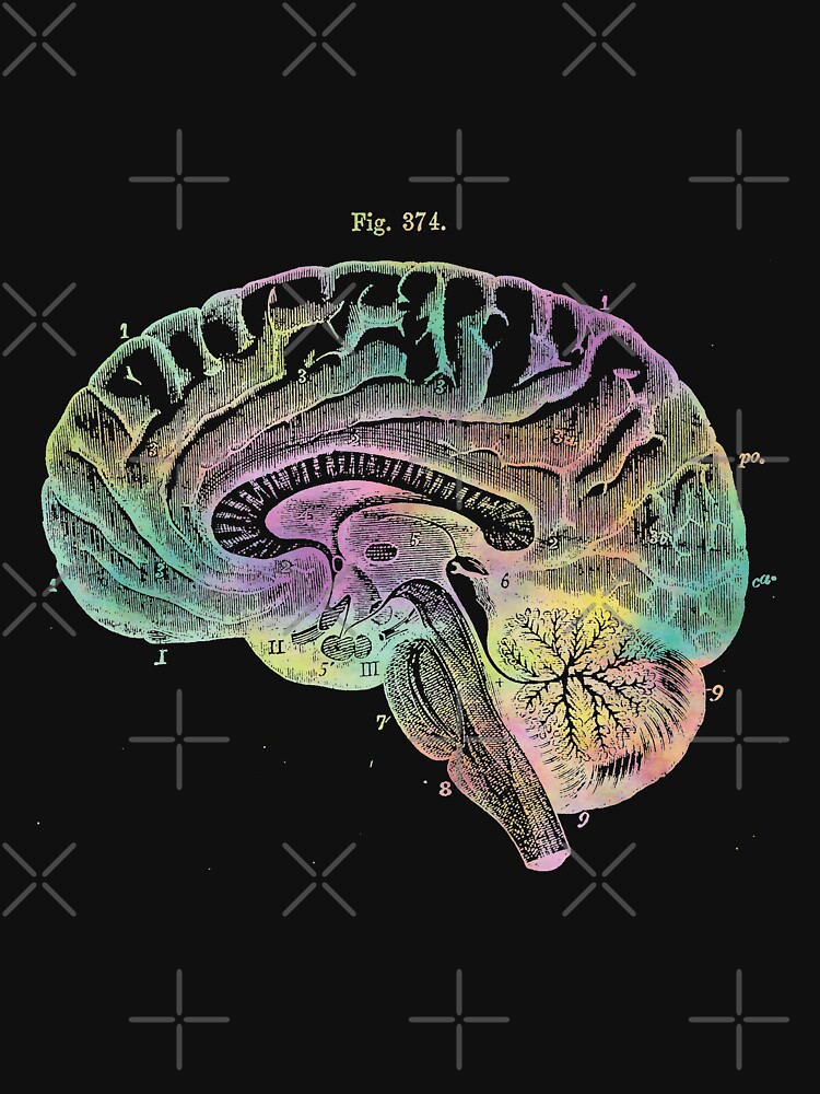 "Ancient Brain Drawing - Type C" T-shirt for Sale by Obtineo ...