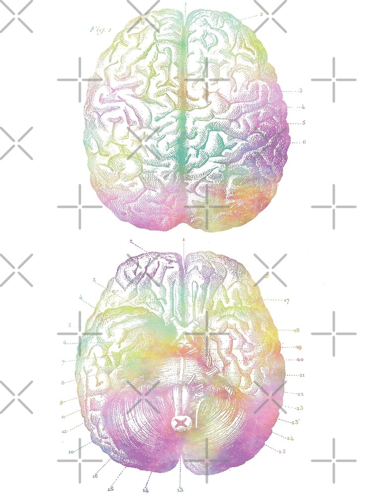 "Ancient Brain Drawing - Type D" Art Print for Sale by Obtineo | Redbubble