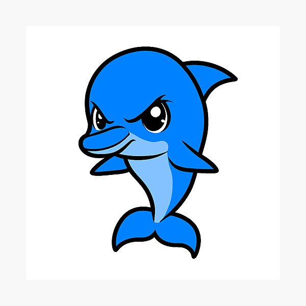 Angry Dolphin Memes