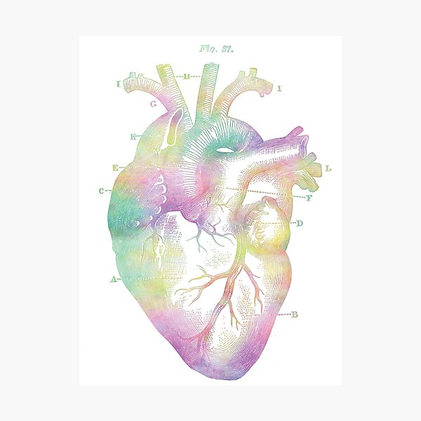 "Ancient Heart Drawing - Type B" Photographic Print by Obtineo | Redbubble