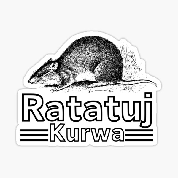 "RATATUJ Kurwa Funny meme " Sticker for Sale by BelkaMed | Redbubble