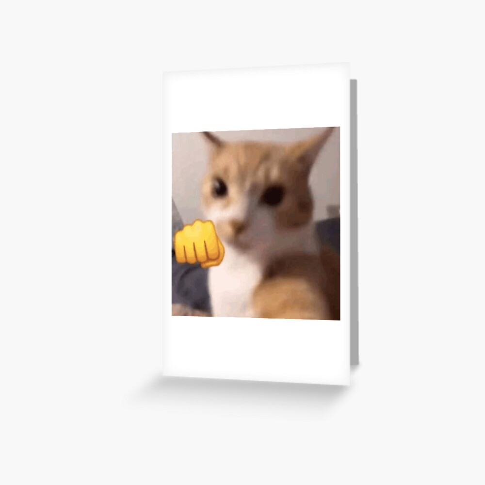"Cat Punching Meme Sticker - Cute Cat Funny Cat Emoji Memes" Sticker ...