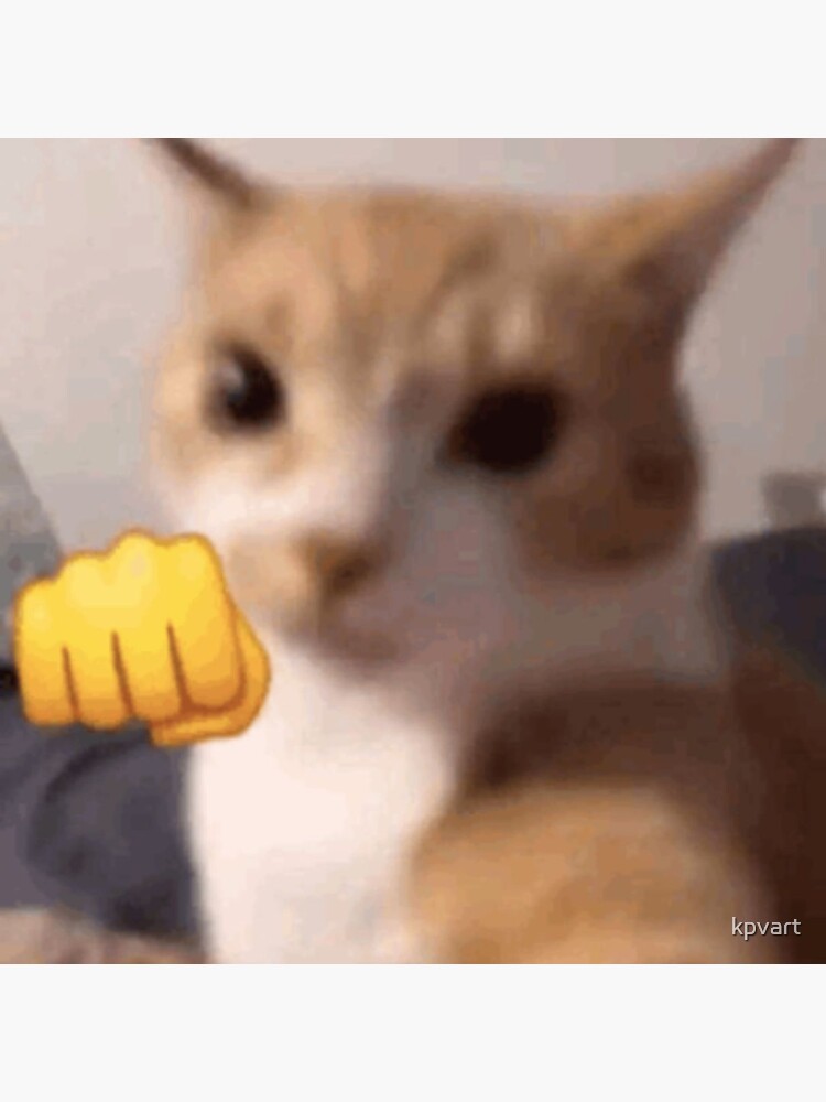 "Cat Punching Meme Sticker - Cute Cat Funny Cat Emoji Memes" Sticker ...
