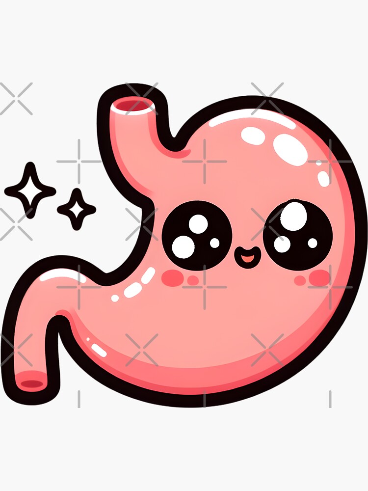 "Kawaii Stomach Adorably Cute Human Organ Anatomy and Physiology ...
