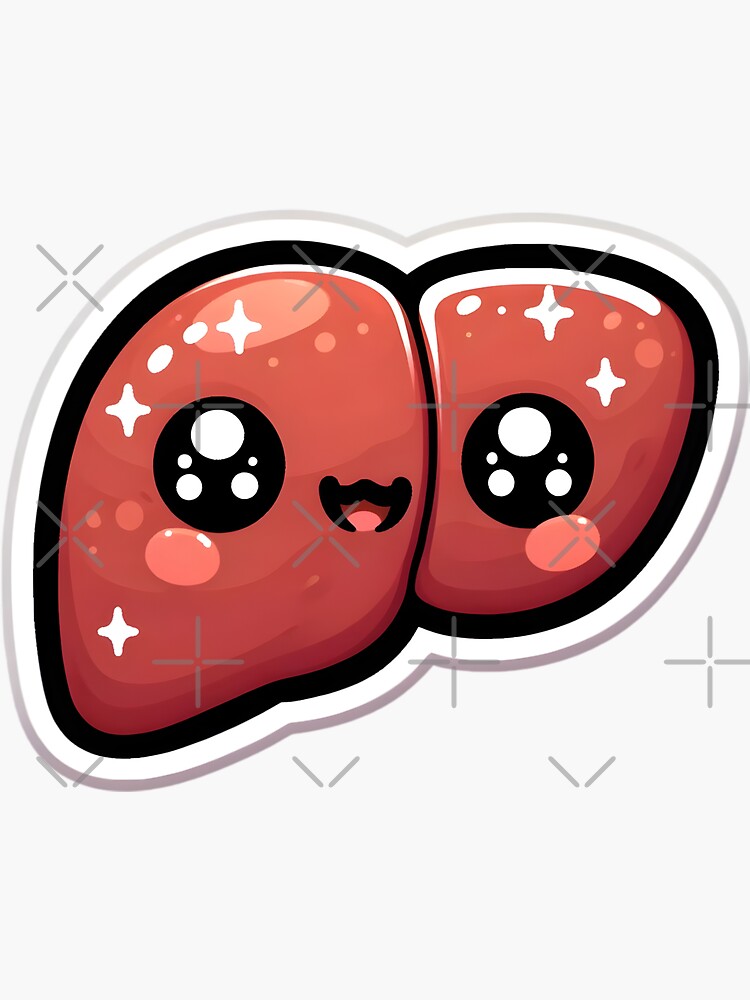 "Kawaii Liver Adorably Cute Human Organ Anatomy and Physiology" Sticker ...