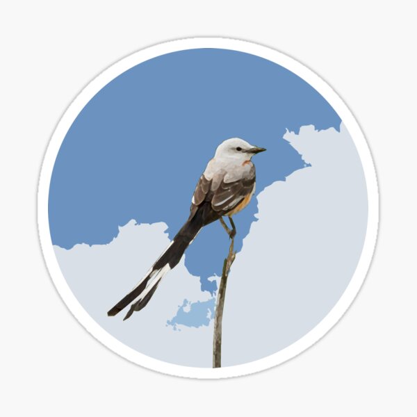 "Scissor-tailed Flycatcher" Sticker for Sale by ospr3y | Redbubble