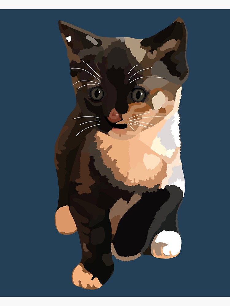 "Maya the kitten " Sticker by R4nd411 | Redbubble