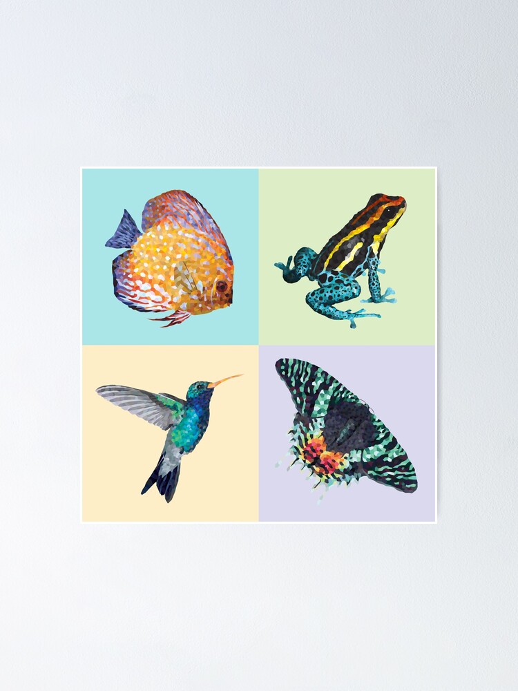 "Colibri Frog Fishie Moth Animal Illustrations" Poster by ...