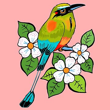 "Torogoz tropical bird" Sticker for Sale by paisajetropical | Redbubble